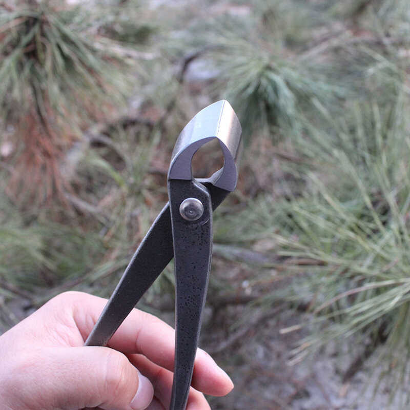 Knob T50 Concave Edge Cutter Root Cutting Pliers Ball Shear Scissors ...