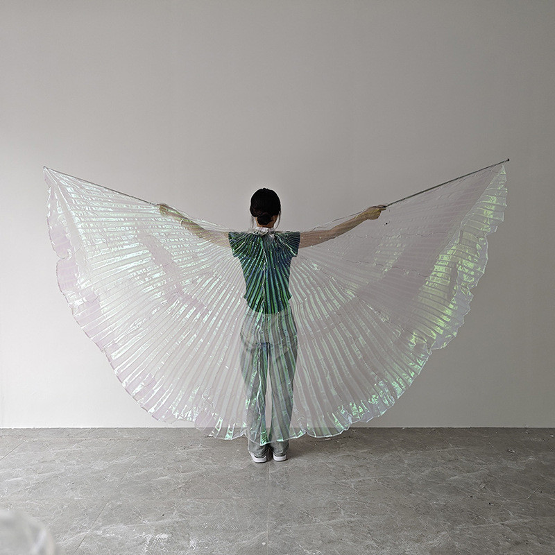 LED Fairy Cloak Light Costume Butterfly Glowing Wings Dance Lights For ...