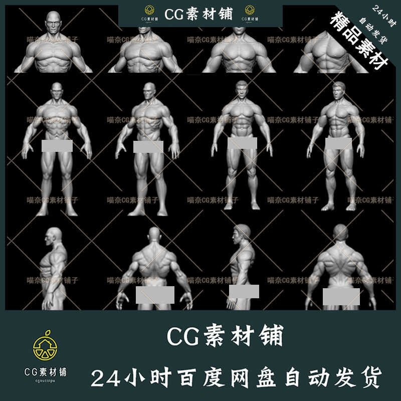 Zbrush muscle male body realistic reference full body structure high ...