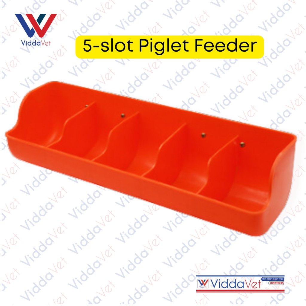 Viddavet Piglet Feeding Automatic Feeder Plastic Piglet Trough + B Meg ...