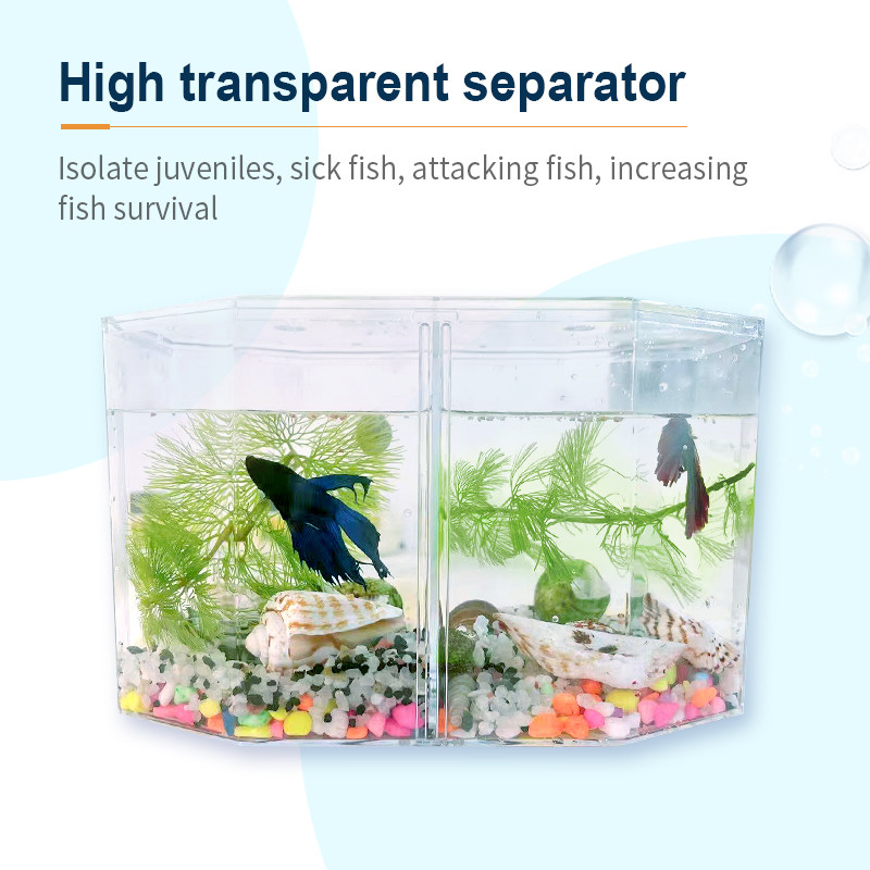【DDC AQUA】 Aquarium Double Betta Fish Tank Dual BettaHex Clear Tank ...