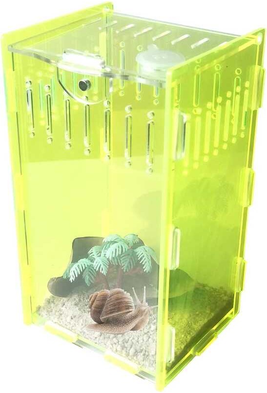 Reptile Terrarium,Vertical Acrylic Tarantula Enclosure Tank,Aquarium ...