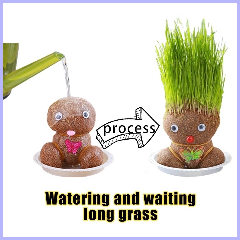 Balcony Decor Grassheads Doll Kids Growing Grass Head Toys Watering ...