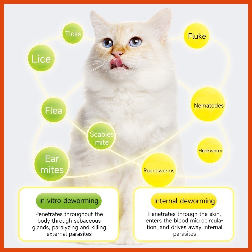 ஐ SENLOVE Garapata Remover For Dog Cats Anti Tick And Flea Kuto Pulgas ...