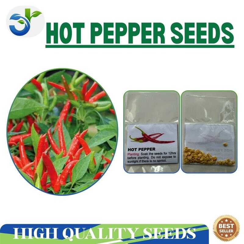 Siling Labuyo / Hot Pepper - ( Pack Of 50Seeds ) | Shopee Philippines