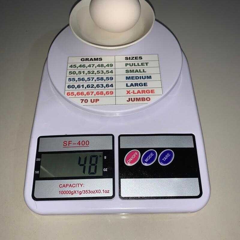 Digital Egg Weighing Scale High Quality With the Default DTI Size Chart ...