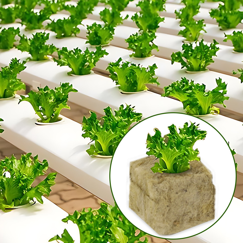 No Soil Cultivation Seedling Rock Wool Blocks- Breathable Plant Growing ...