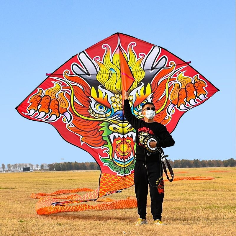 Giant Dragon Kite For Adults Large-scale Special High-end Professional ...