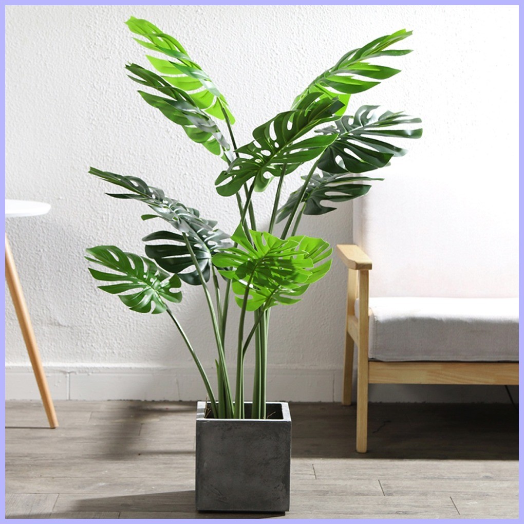 1 Bunch 18 Fork Turtle Back Leaves / Monstera Deliciosa Leaves ...