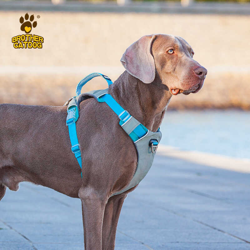 Pet Dog Chest Strap I-Shaped Reflective Dog Vest Strap With Liftable ...