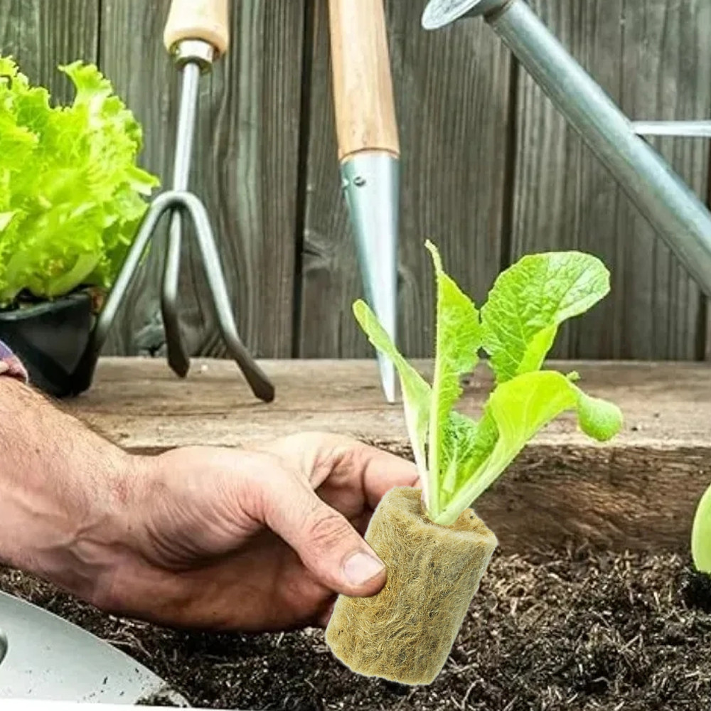 Round Square Seedling Grow Plug Stonewool Hydroponic Grow Media Cubes ...