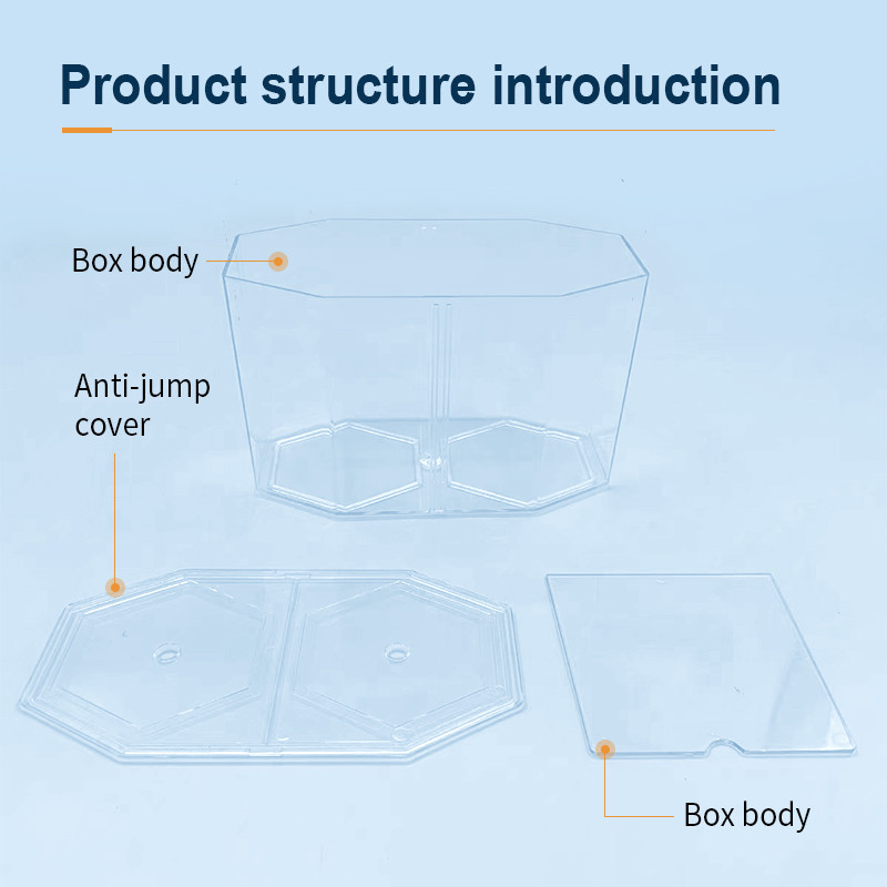 【DDC AQUA】 Aquarium Double Betta Fish Tank Dual BettaHex Clear Tank ...