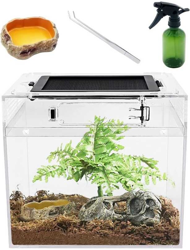 Growth Mini Reptile PC Terrarium,8x8x8 inch Amphibian Tank Starter Kit ...