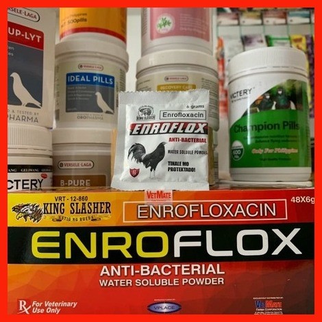 ♠ ♒ Enroflox King Slasher 6g Sachet Anti-Bacterial Water Soluble Powder ...