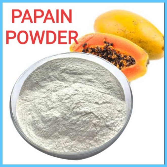 Papain Powder papaya enzyme (food-grade) | Shopee Philippines