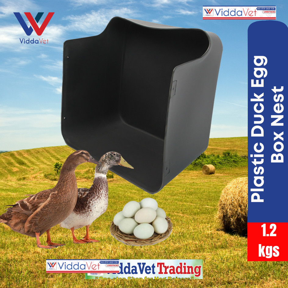 Egg Nest Box for Poultry Farms Goose Duck Duck Nesting Box • Long ...