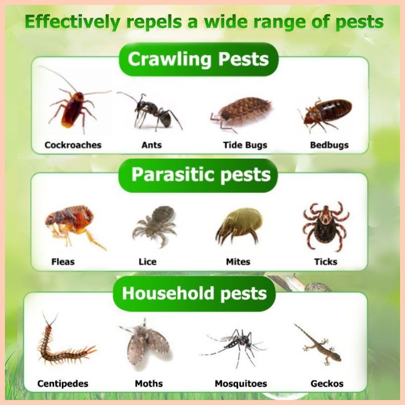 ¤ bite block insect repellent Cockroach Mosquito Ant Flea Can repel1000 ...