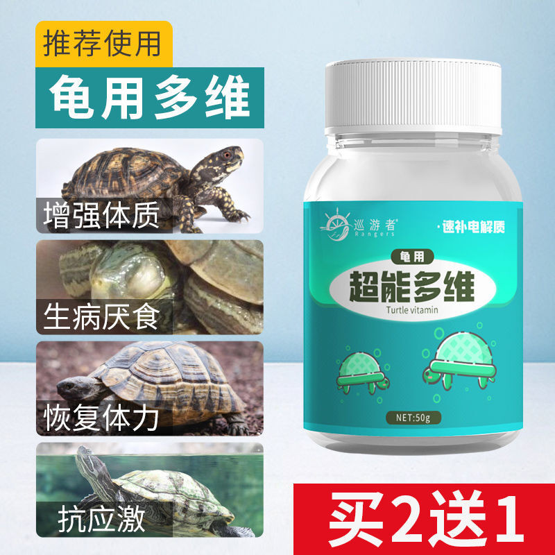 Turtle Dove Brazilian Turtle Grass Turtle Snapping Turtle Anorexic ...