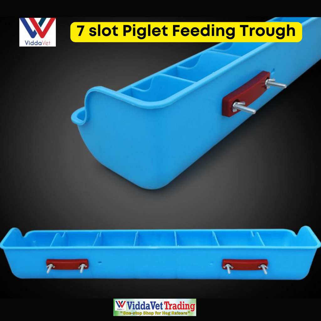 7 Slot Piglet feeder Plastic Blue Color for Piglets | Shopee Philippines