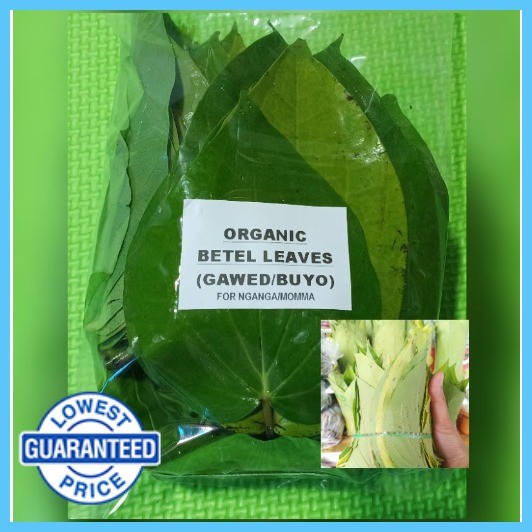 ¤ ⚽︎♀ ORGANIC BETEL LEAVES (GAWED/BUYO) | Shopee Philippines