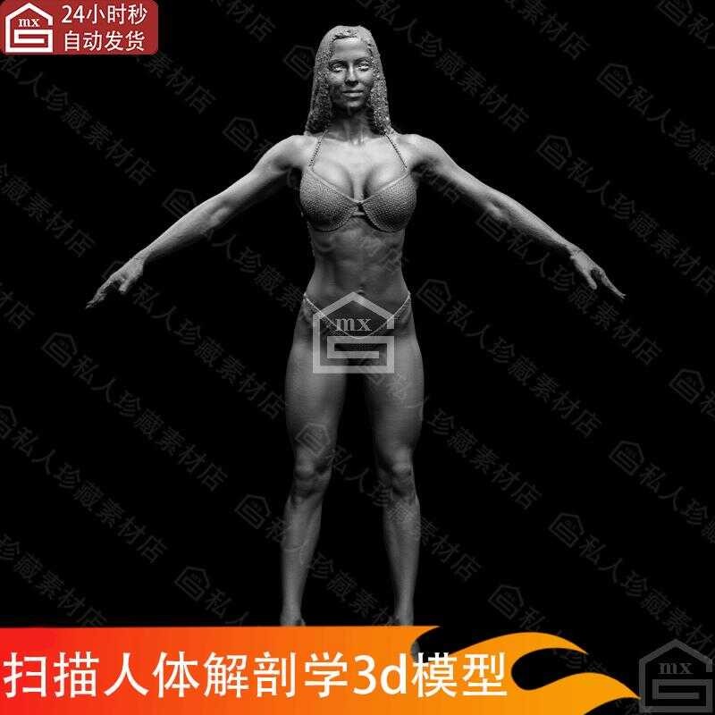 ZBrush scans female body posture, muscle anatomy, sculpture, character ...