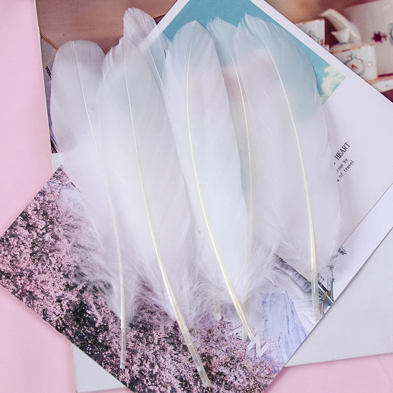 50Pcs White Pheasant Feathers Crafts Natural Feathers White Feather ...