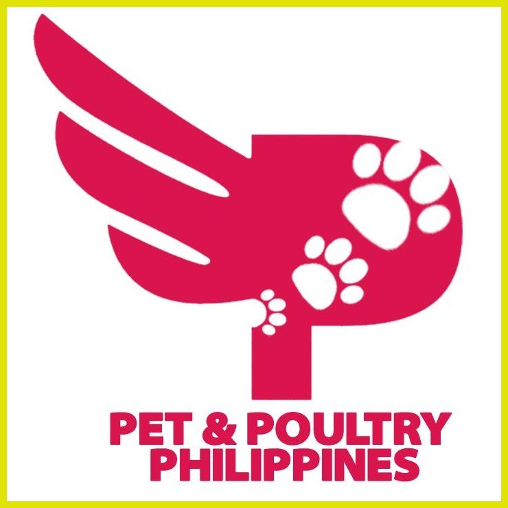 ஐ VITAMIN B-12 AAFES 100 Tablets - For Gamefowls, Fighting Cocks ...