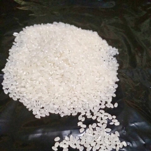 Repacked King Crab Japonica Rice 1 kilo Bigas (Japanese Rice) | Shopee ...