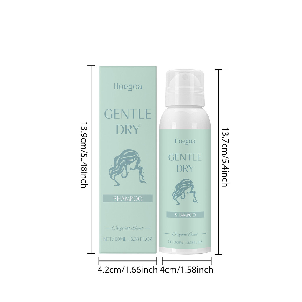 100ml HOEGOA Leave-In Dryer Spray Dryer Spray Oil Control Fluffy Shine ...