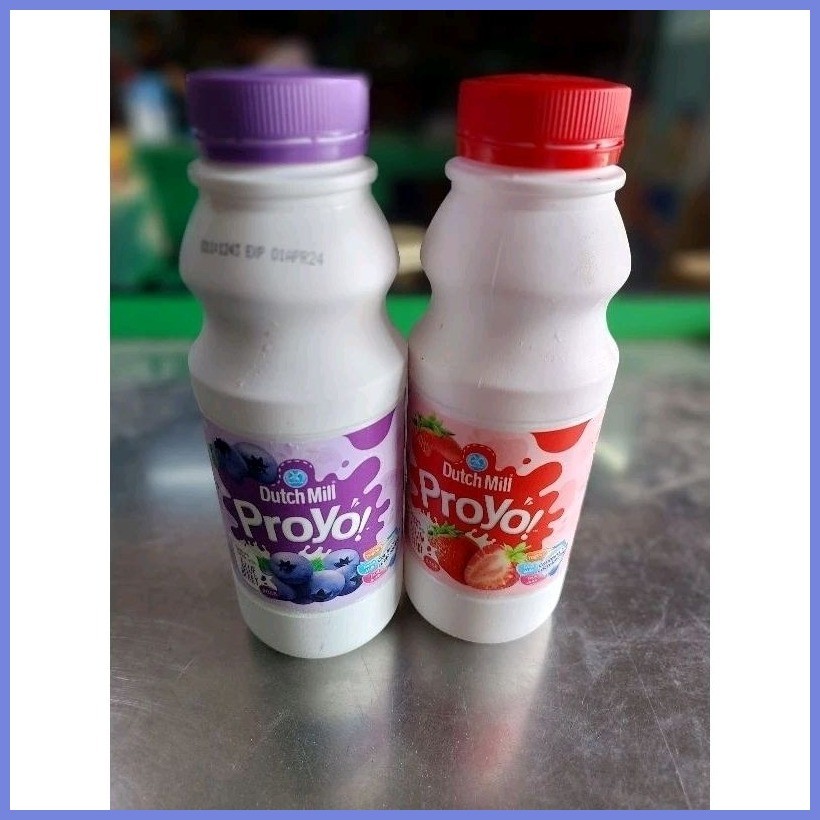 Dutch Mill Delight PROYO 400mL [Strawberry or Blueberry] Flavored ...