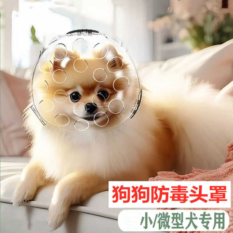 Puppy gas mask, dog space head cover, astronaut head cover, anti ...