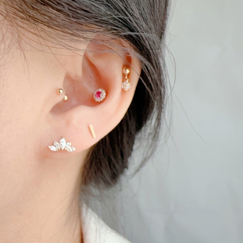 Roselife 1PC S925 Silver Crystal Crown Screw Earring for Women Men ...