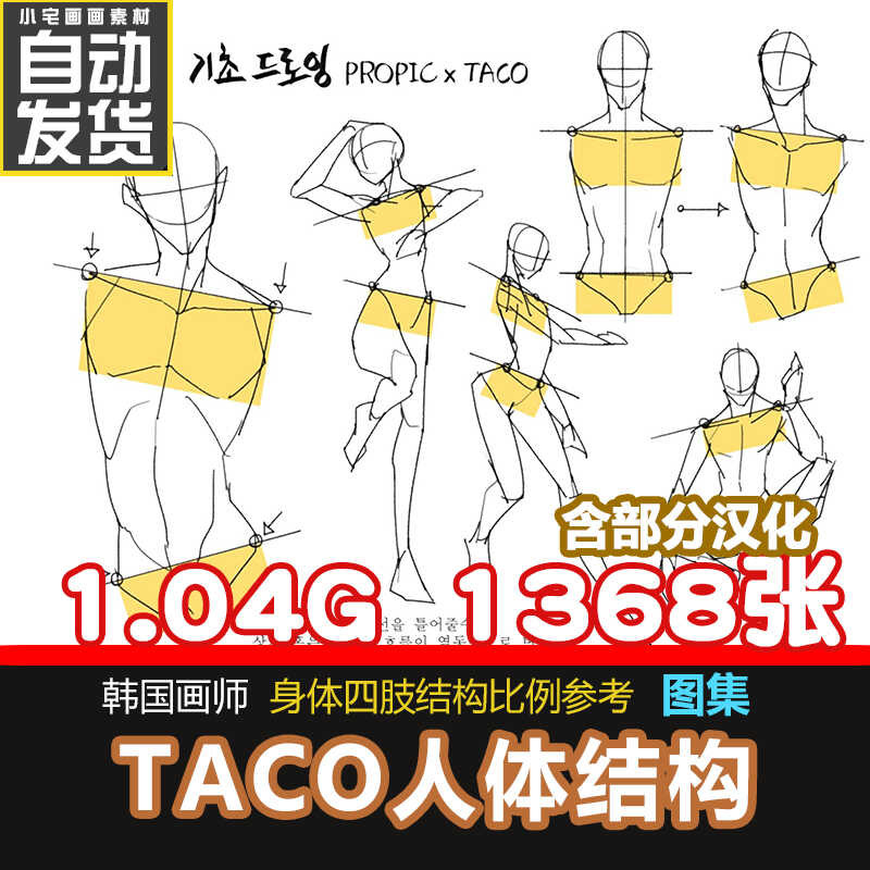 Taco human body structure, body angle, limb ratio, hand foot head ...