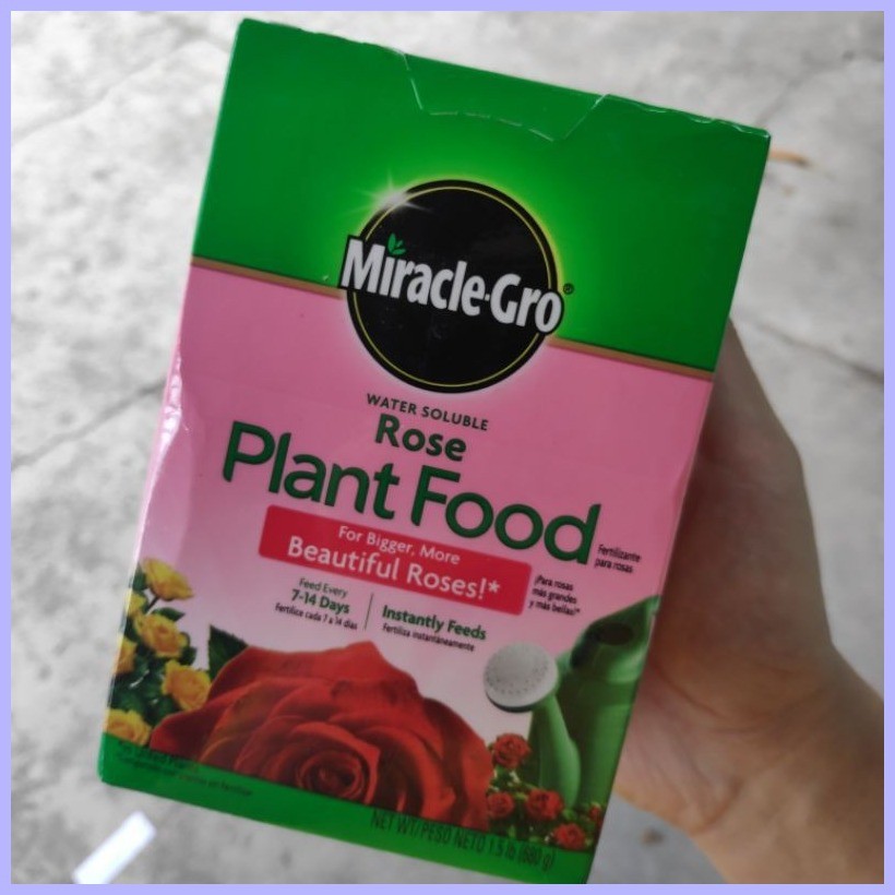Miracle Gro Water Soluble Rose Food 20grams | Shopee Philippines