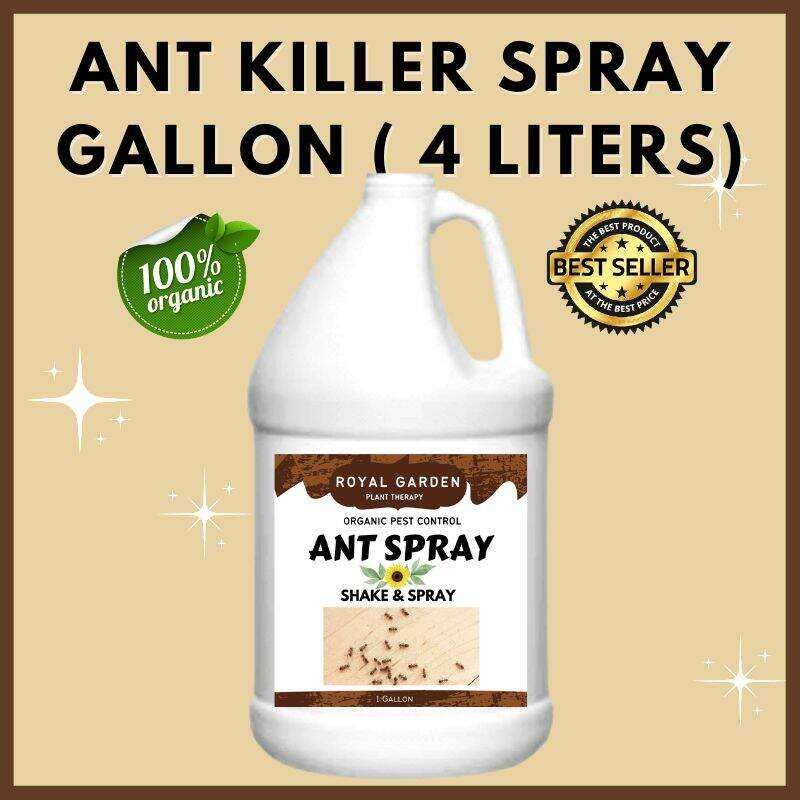 Garden, ROYAL ANT KILLER SPRAY [Effective] Insects Killer Spray, Ant ...
