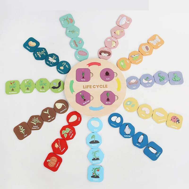 Wooden Plant Animal Life Cycle Board Plant Animal Cognitive Growth ...