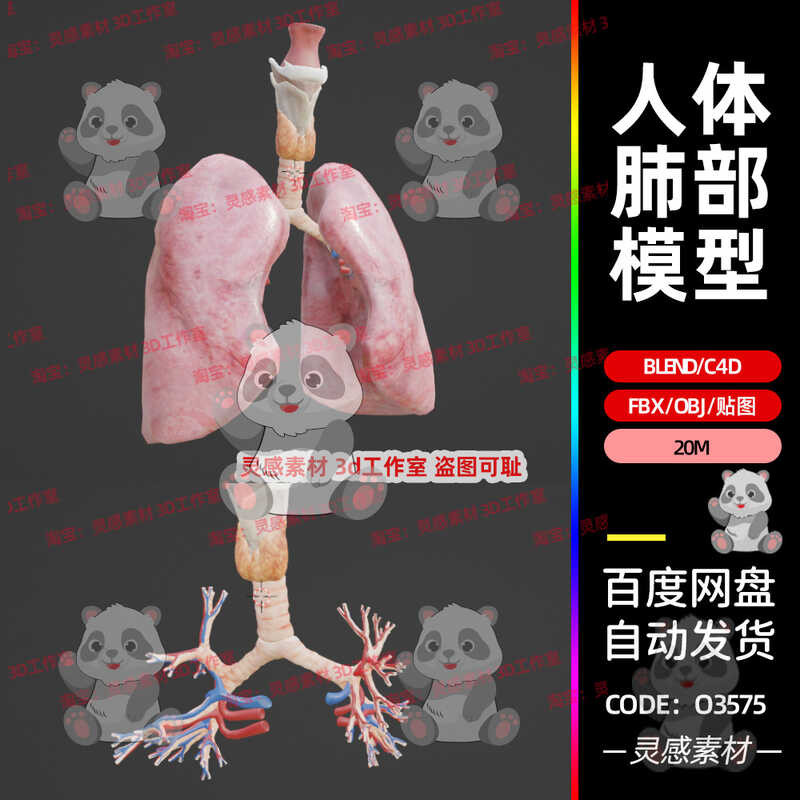 Blender human lung bronchial organ lung 3D model fbx modeling obj ...