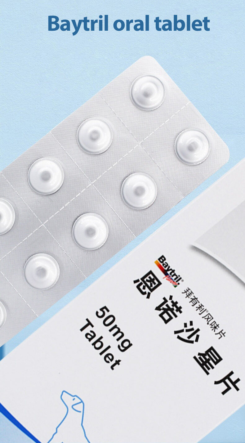 BAYTRIL Flavor Antibiotic Tablet for Dog and Cat for Post-operative ...