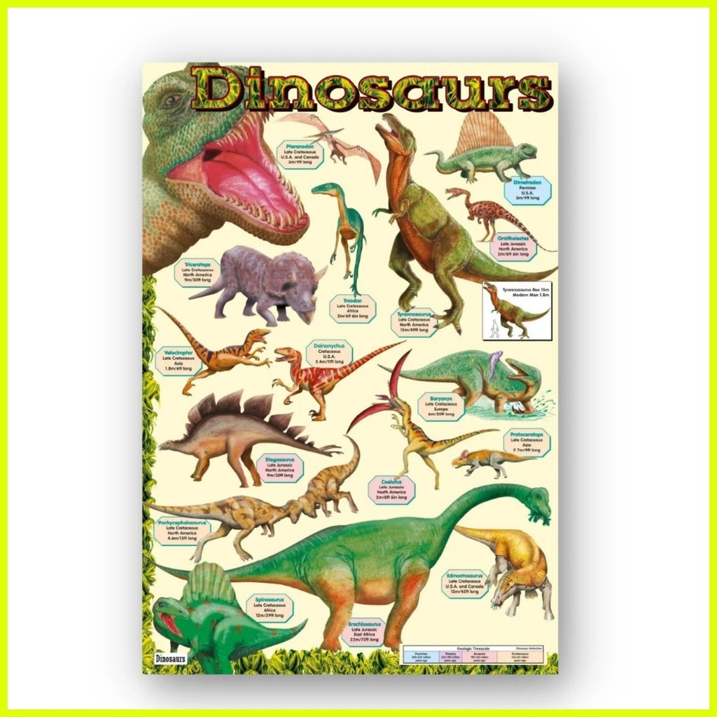 Laminated Types of Dinosaur, Dinosaur Names for Kids, Learners and ...