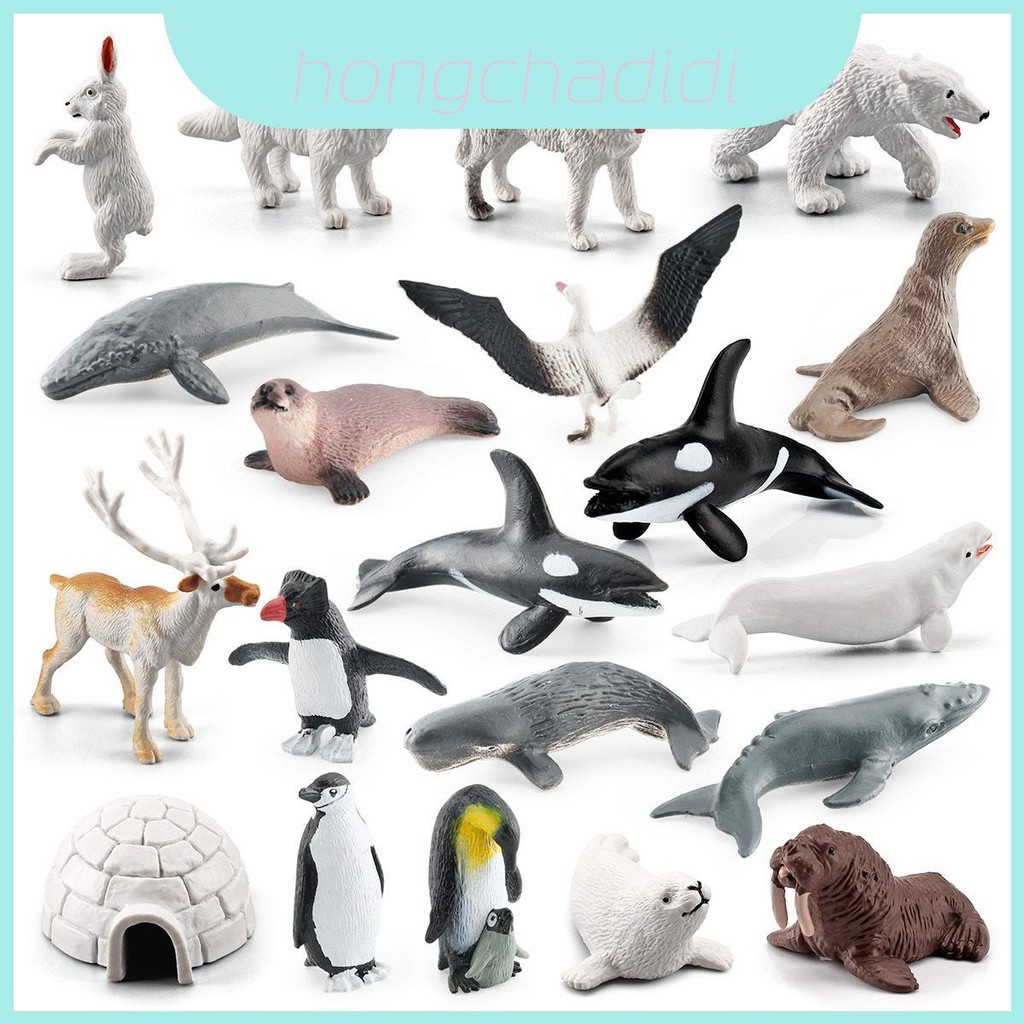 Piece 20 Stunning Arctic And Antarctic Animal Model Collection With ...
