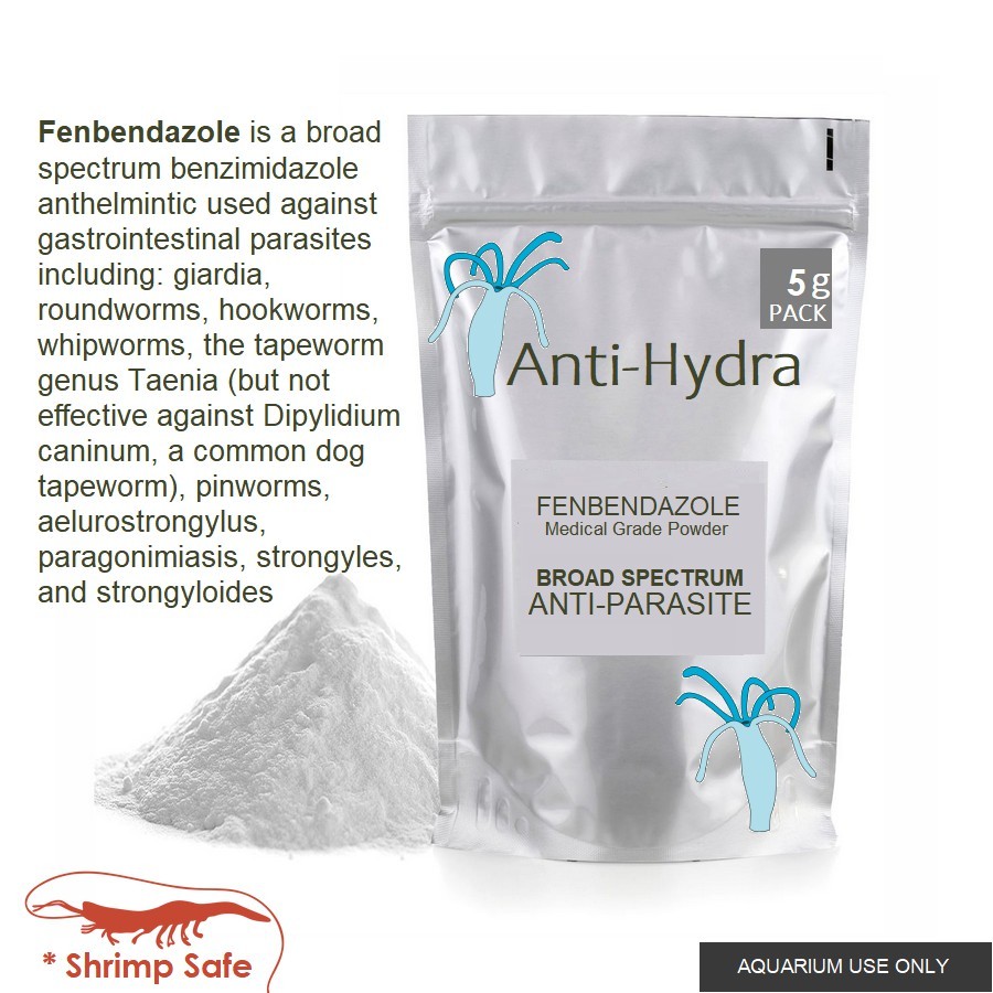 in stock Fenbendazole Powder fish shrimp safe med (planaria, anti-hydra ...
