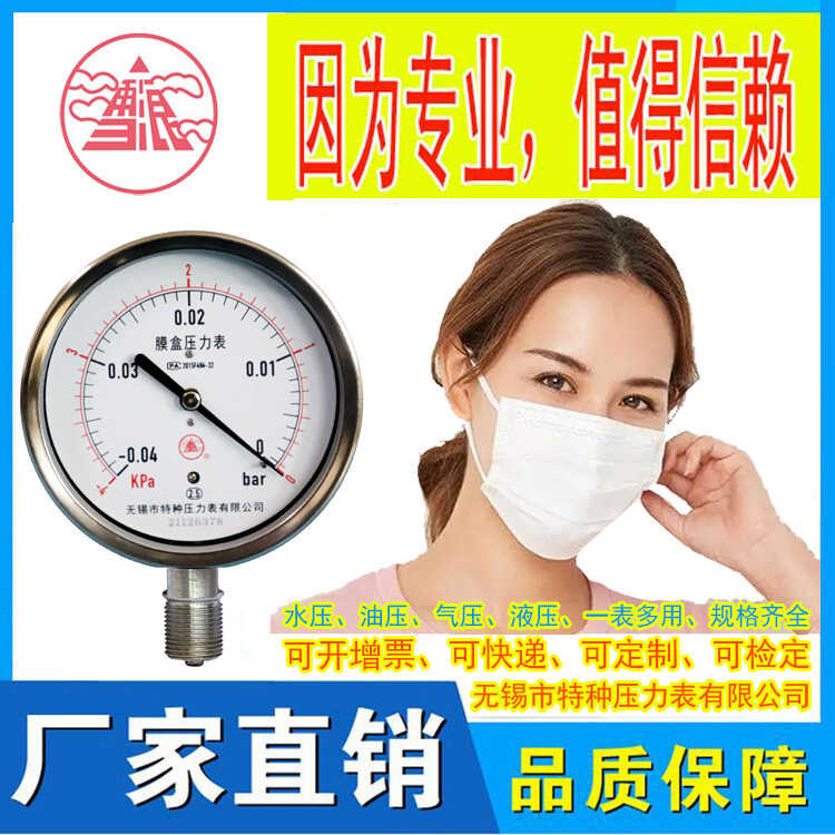 Xuelang Special Instrument Radial Vacuum Stainless Steel Diaphragm Box Pressure Gauge YE-60-40K ...