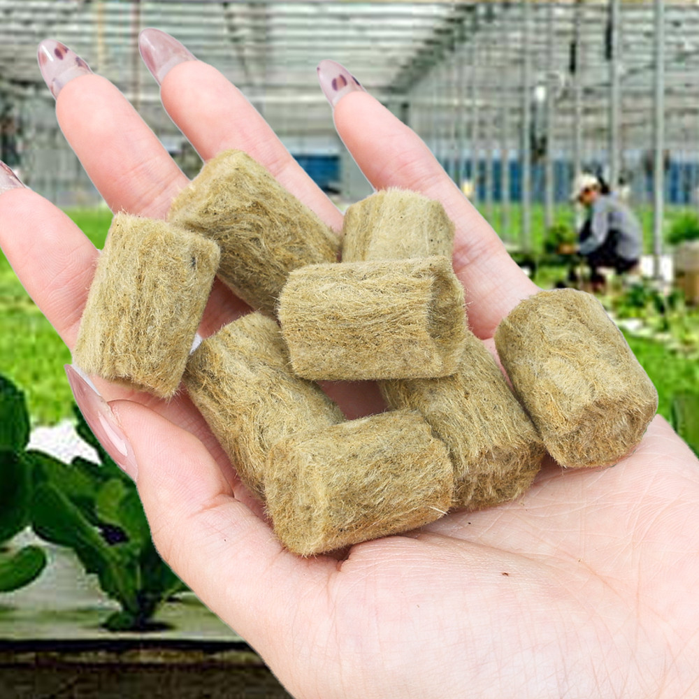 Round Square Seedling Grow Plug Stonewool Hydroponic Grow Media Cubes ...