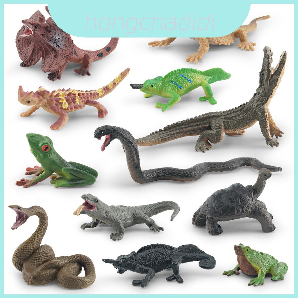 Colorful And Realistic Pvc Amphibian Models Including Frogs Turtles And ...