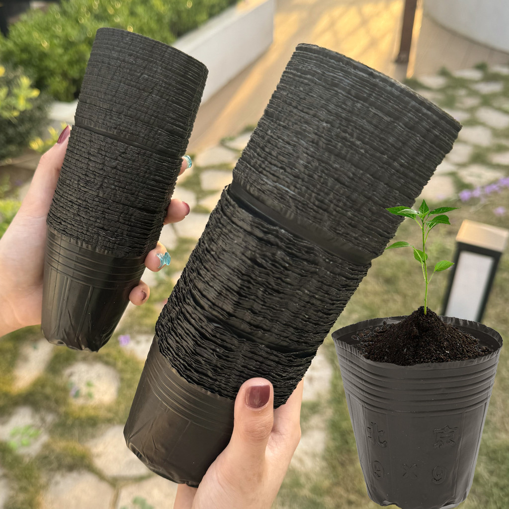 Durable Plant Propagation Cups - Black Plastic Seedling Nursery ...