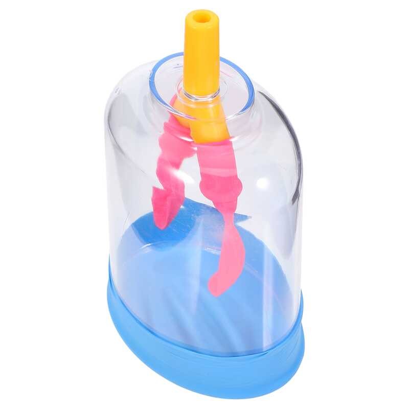 Lung Breathing Model Anching Models Experiment Kits Human Organs High ...