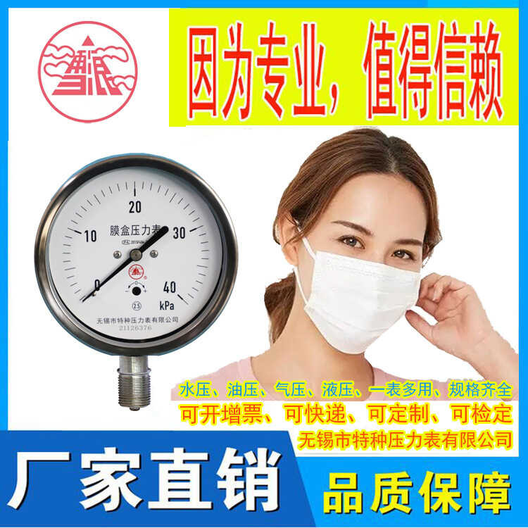 Snow Wave Special Instrument YE100BF Stainless Steel Diaphragm Box ...