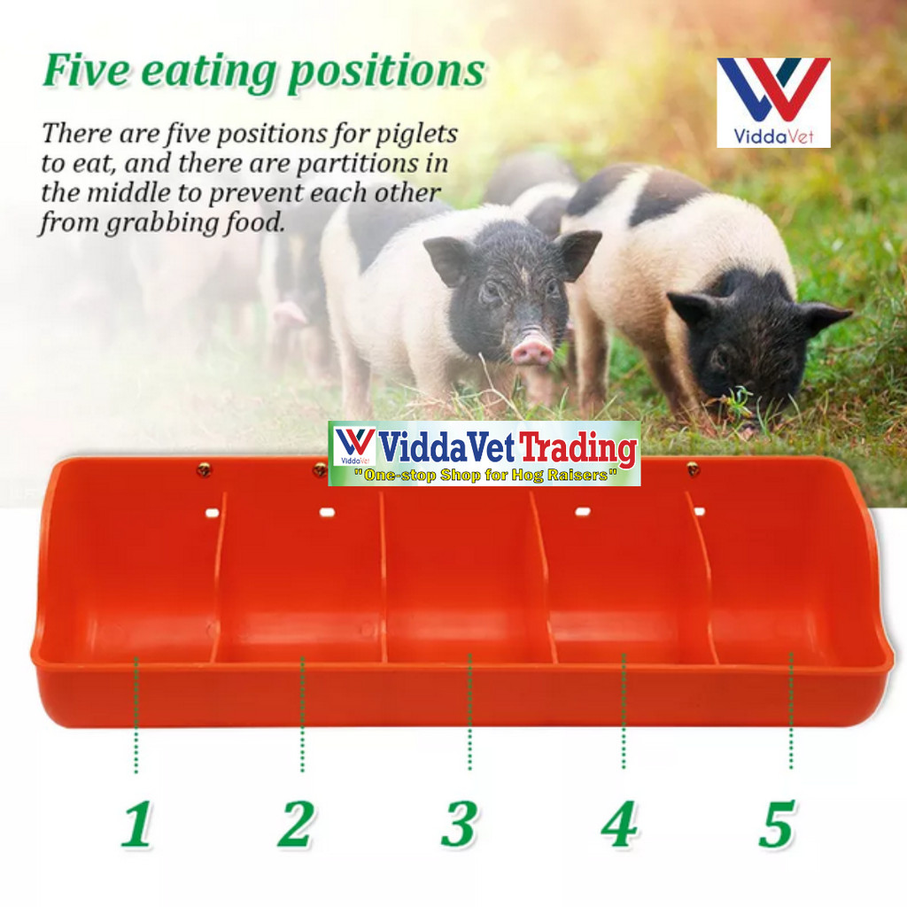 Orange Plastic Piglet Trough Automatic Feeding Five Grids piglet ...