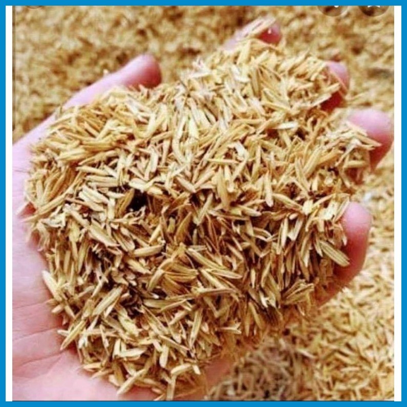 RICE HULL (FRESH IPA) 2kg | Shopee Philippines