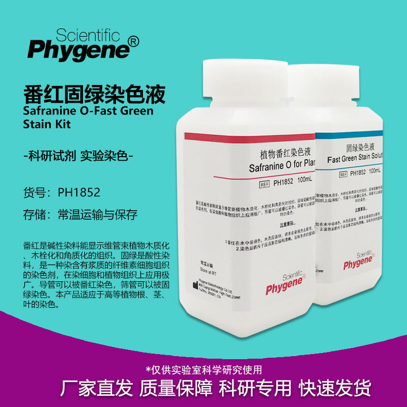 Examples of plants with dirty safranin green staining solution 2 × 100 ...